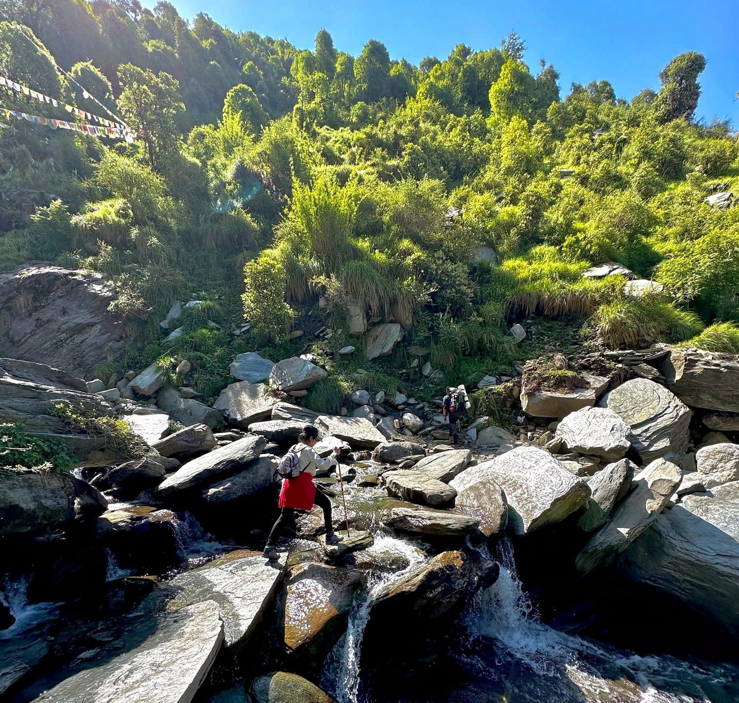 The colourful and chaotic world of languages in India