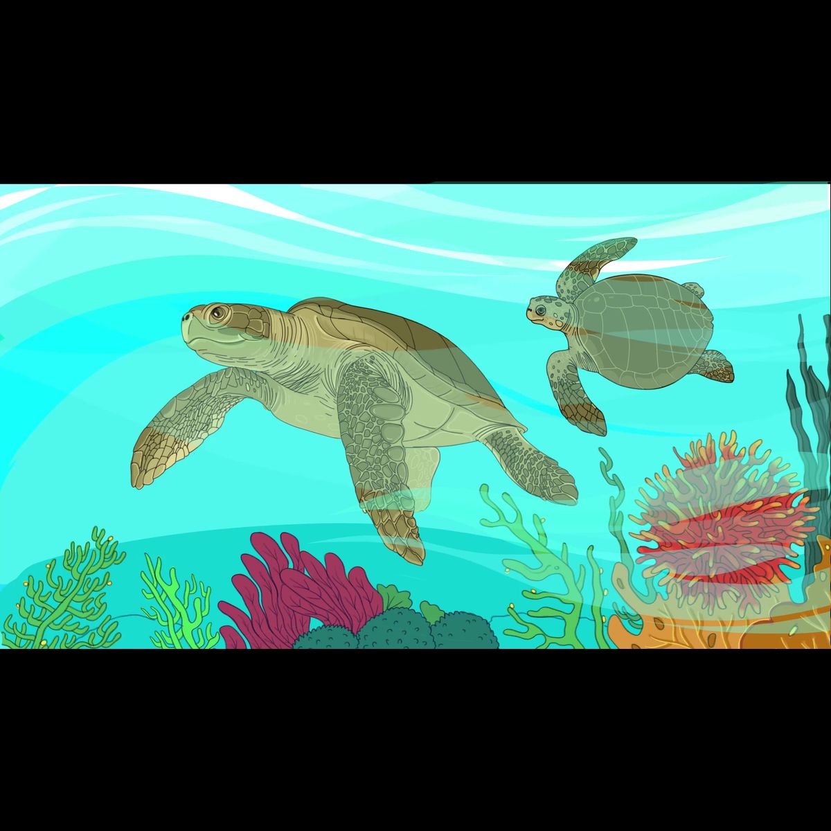 The Talented Mr Ridley - The Indian Express