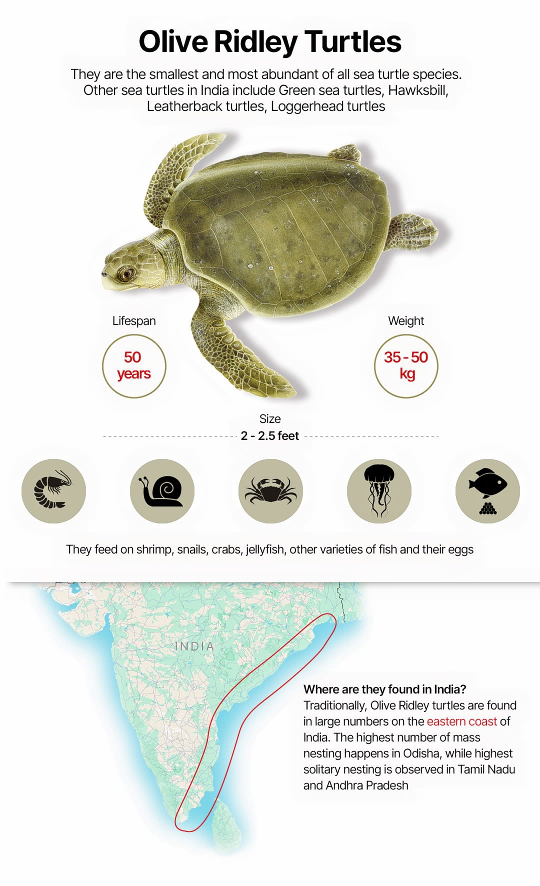 The Talented Mr Ridley - The Indian Express