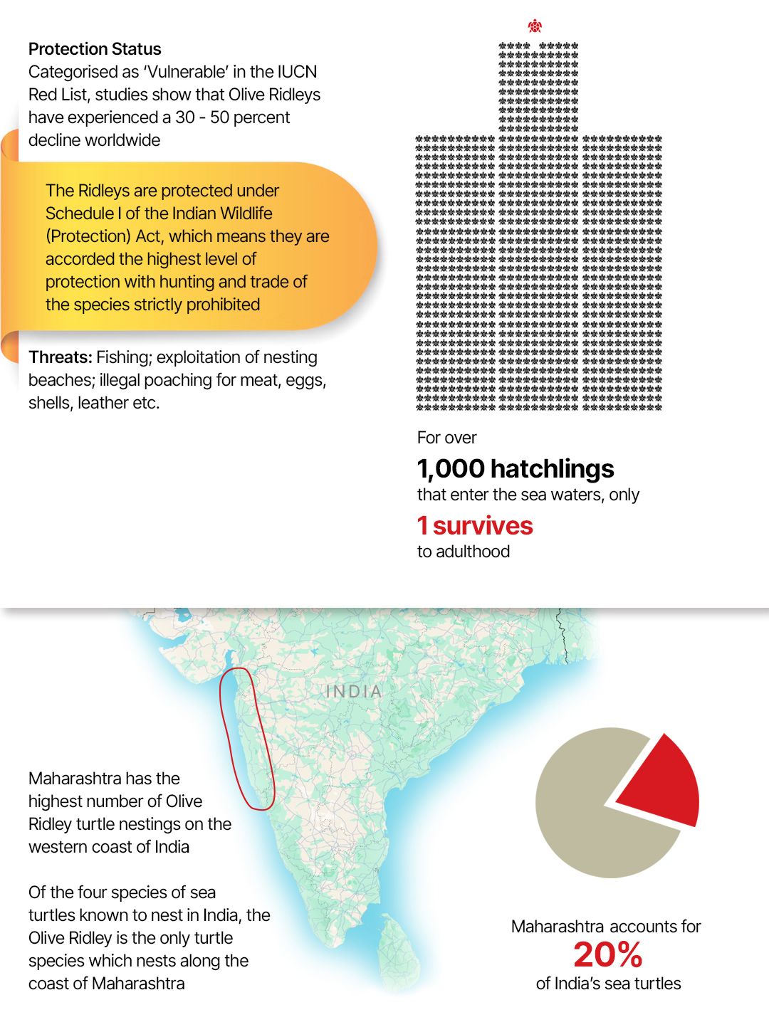The Talented Mr Ridley - The Indian Express
